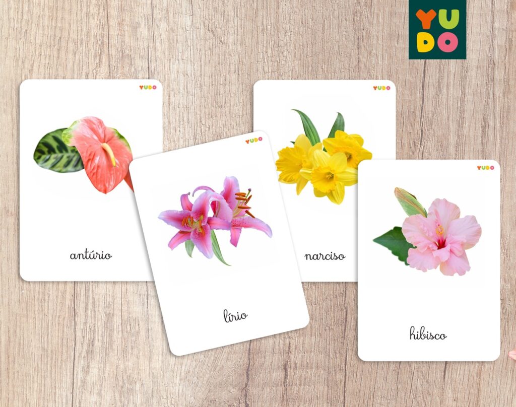 Flowers cards - yudo montessori