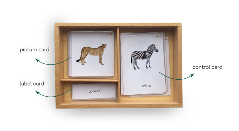 What are Montessori 3-part cards - yudo montessori