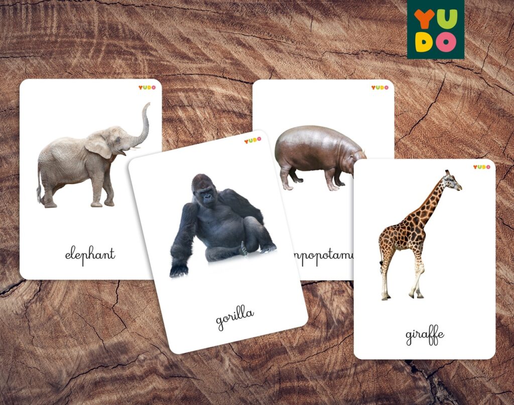 Africa animals cards - yudo montessori