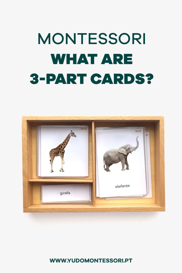 What are Montessori 3-part cards - yudo montessori