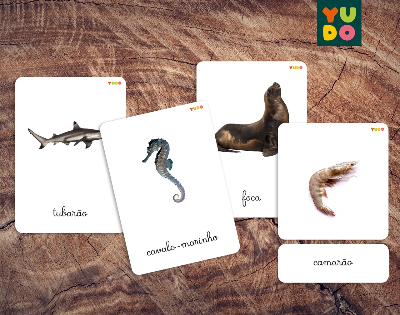 Ocean animals cards - yudo montessori