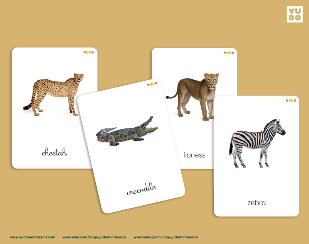 Africa animals cards - yudo montessori