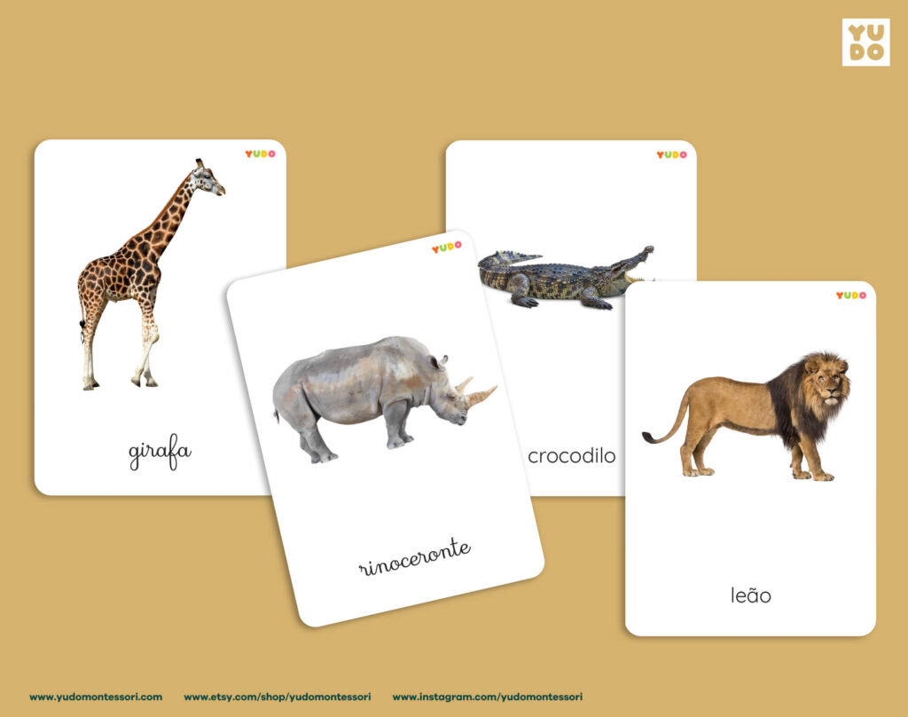 Africa animals cards - yudo montessori