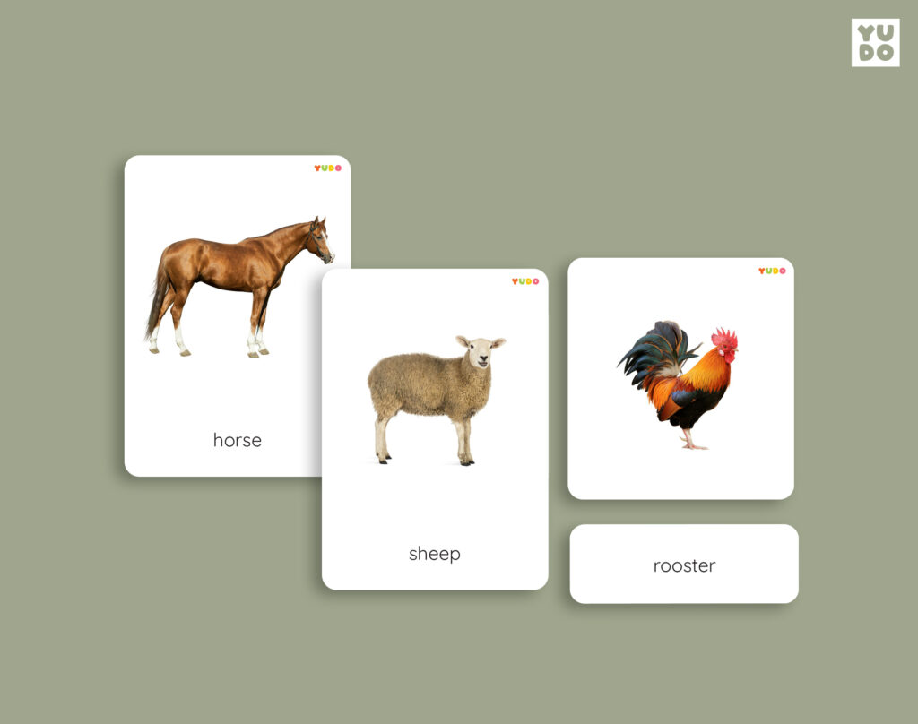 Farm animals cards - yudo montessori