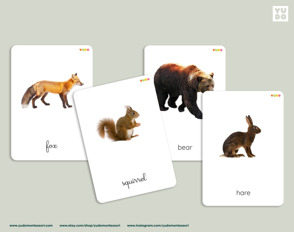 Forest animals cards - yudo montessori