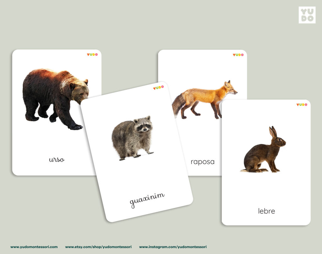 Forest animals cards - yudo montessori