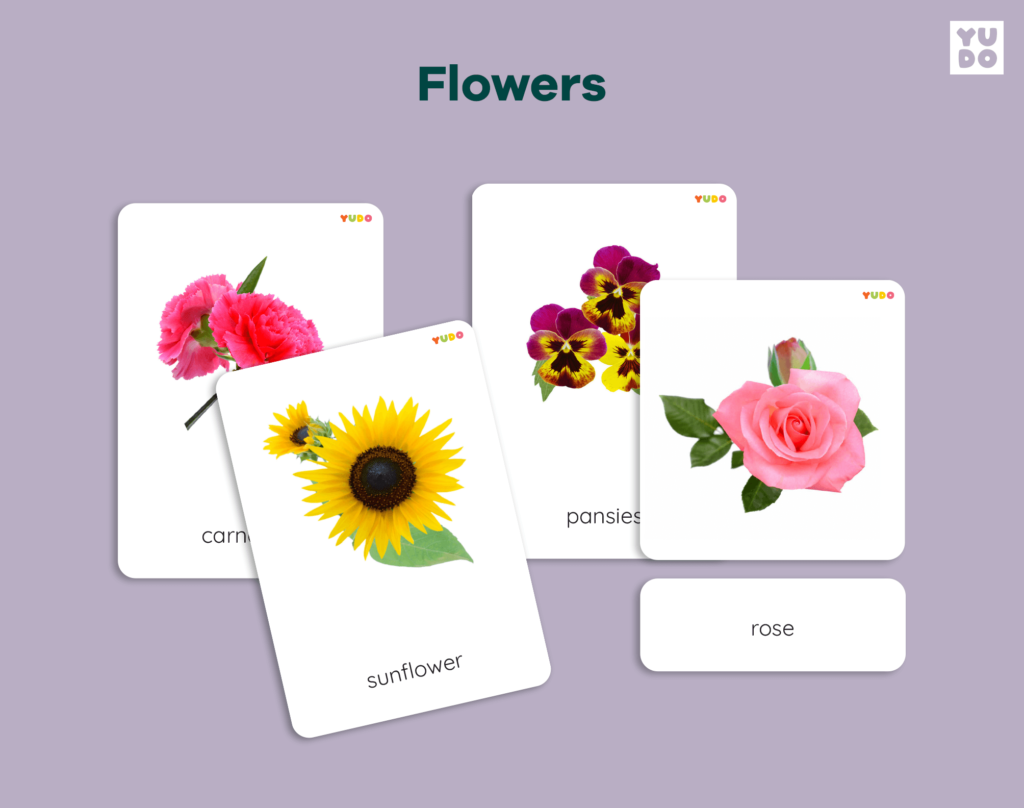 Flowers cards - yudo montessori