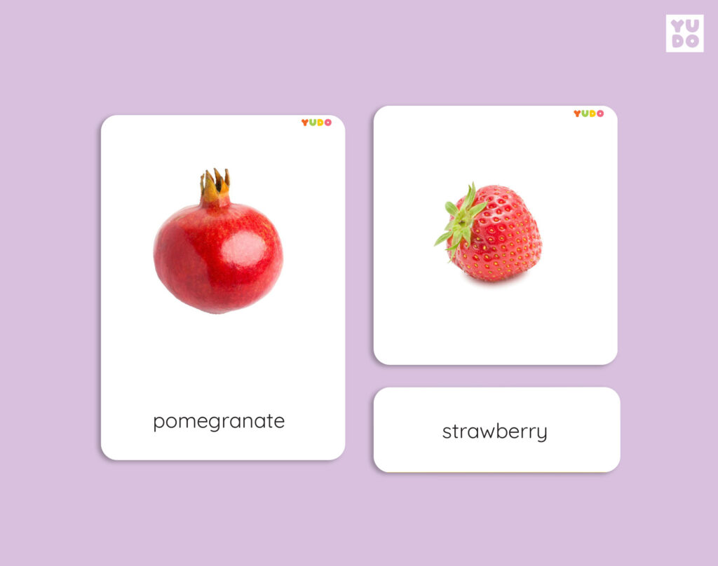 Fruits language cards - yudo montessori