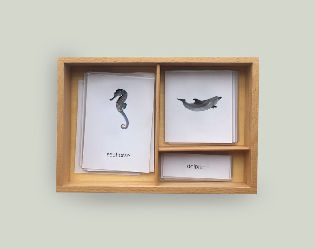 Ocean animals cards - yudo montessori