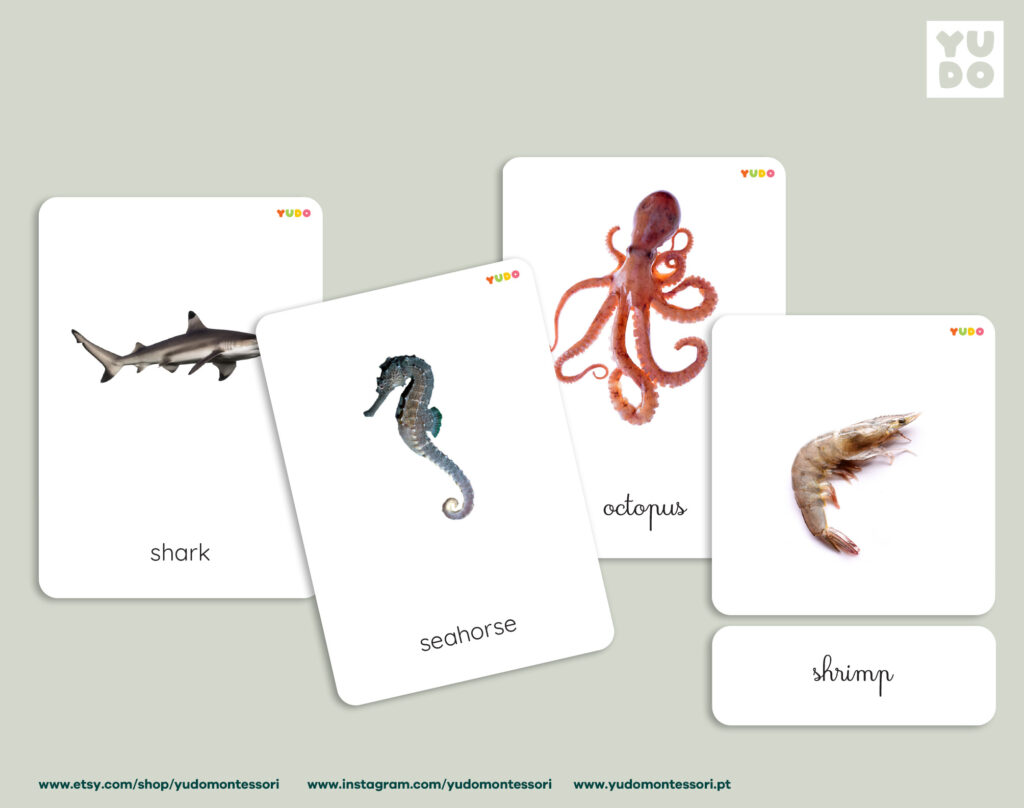 Ocean animals cards - yudo montessori