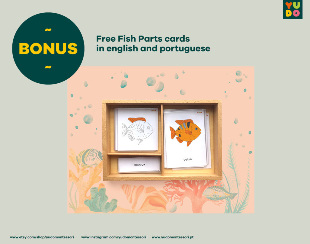 Ocean animals cards - yudo montessori