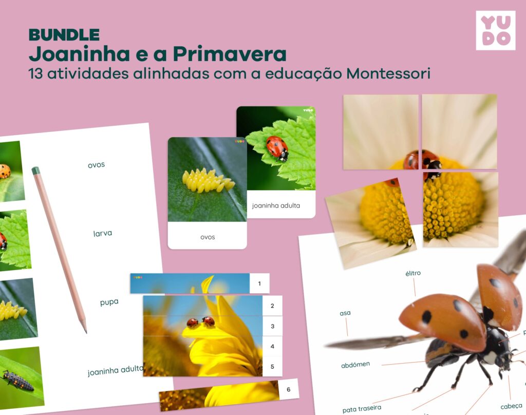 Ladybug and spring activities bundle in Portuguese - yudo montessori