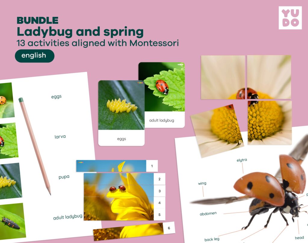 Ladybug and spring activities bundle - yudo montessori