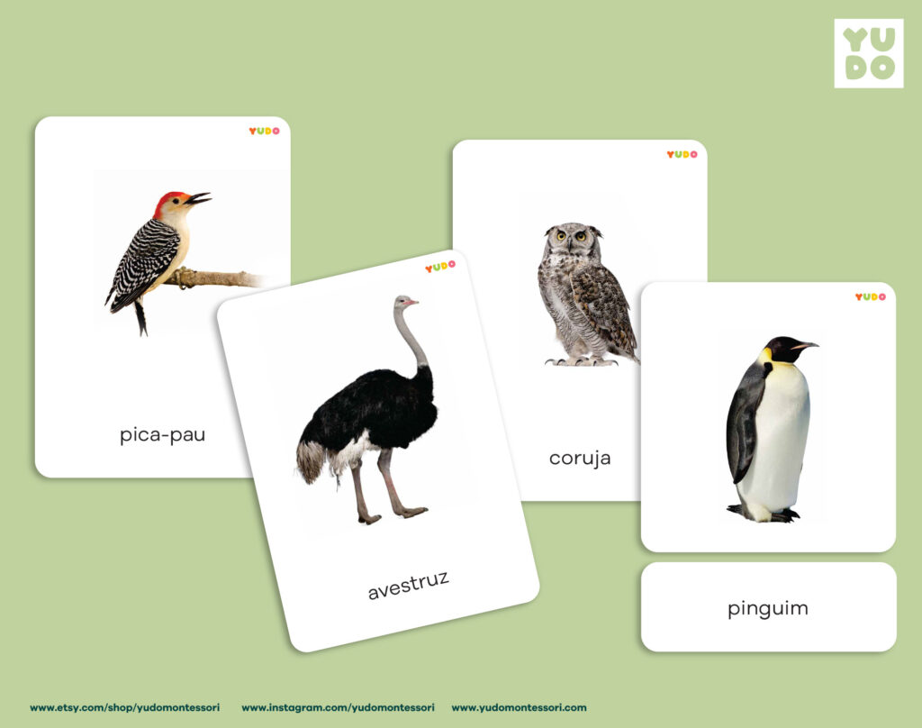 Birds Montessori language cards - yudo montessori