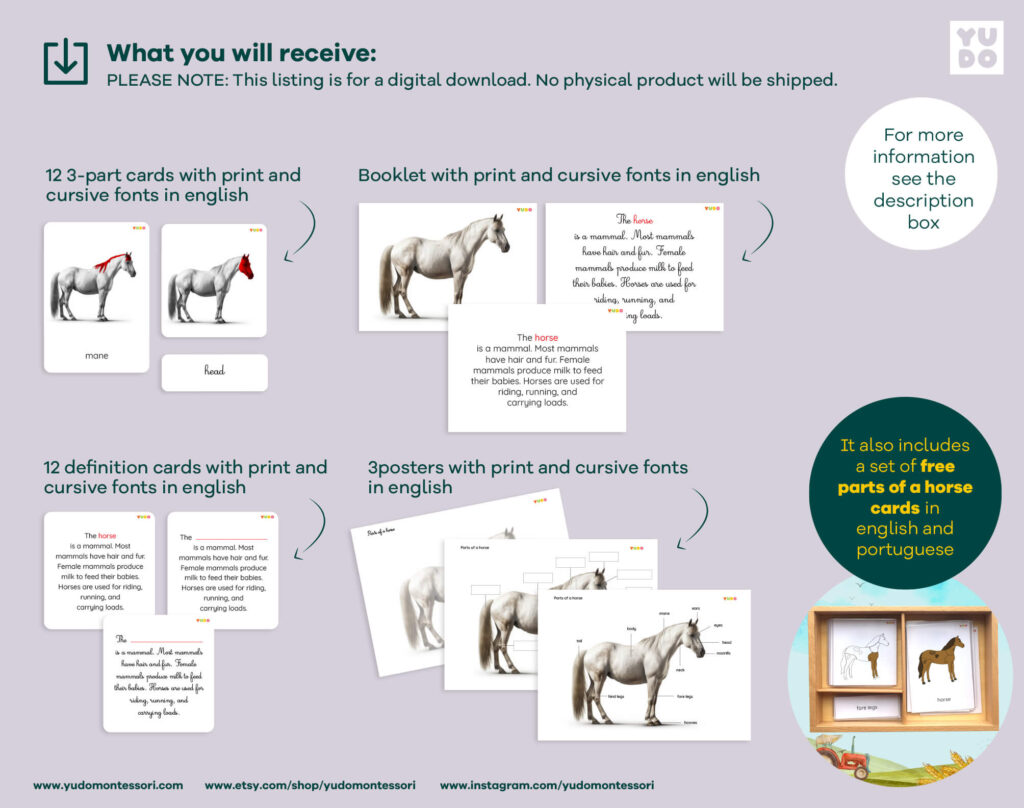 BUNDLE Parts of the horse activity - yudo montessori