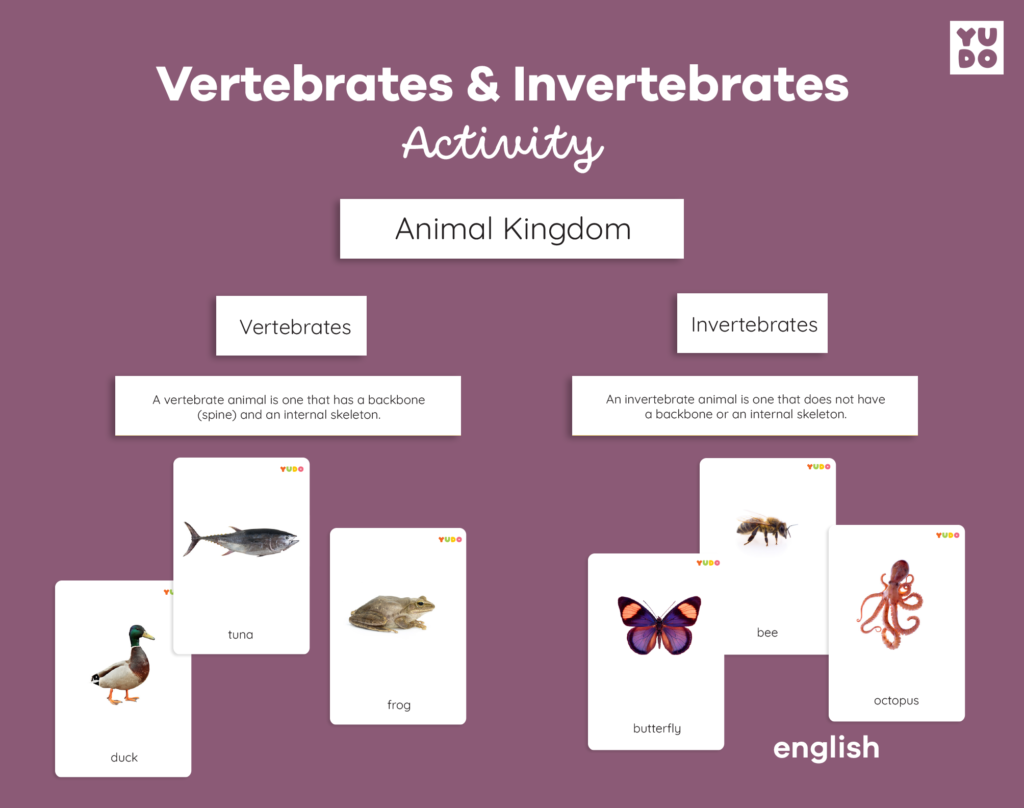Vertebrates & Invertebrates Activity - yudo montessori
