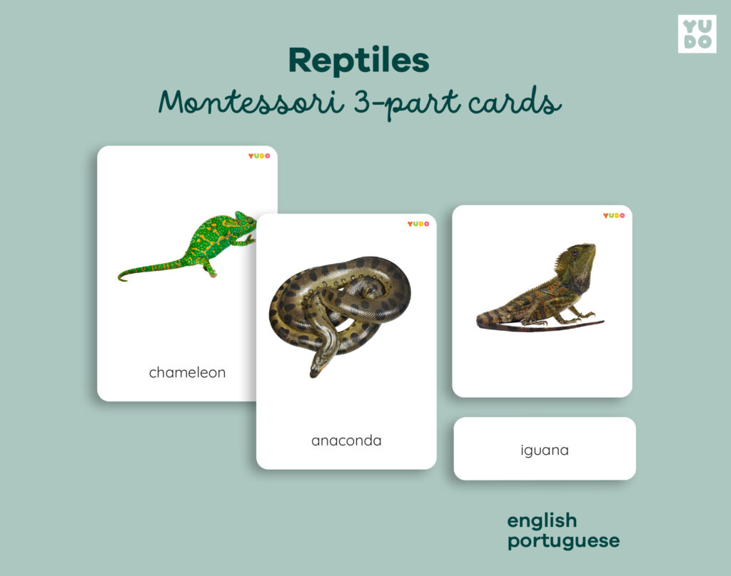 Reptiles Montessori Cards - yudo montessori